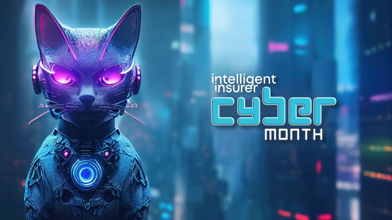 Nat cats, cyber cats and kittens: updating our view of cyber risk ...